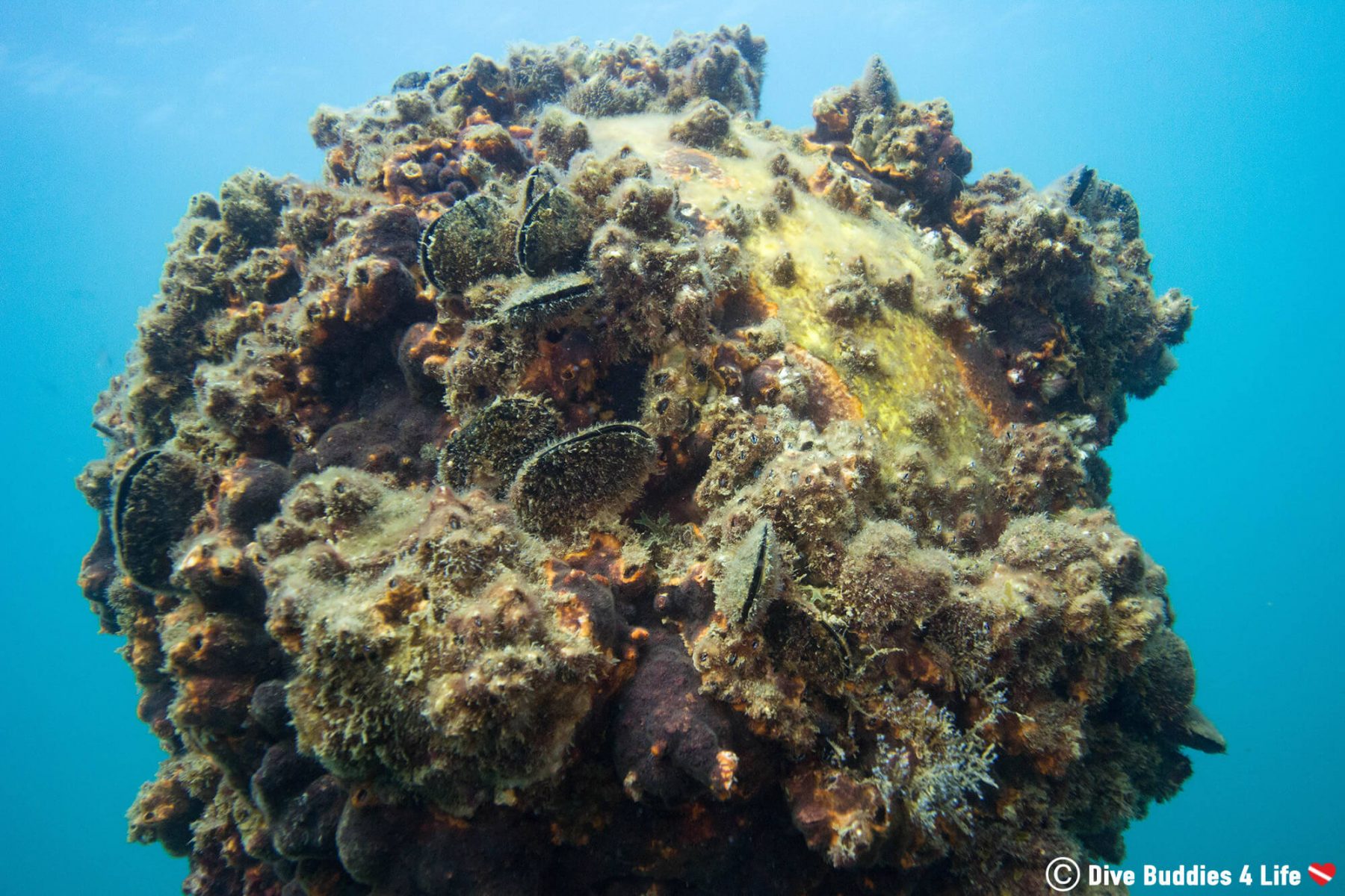 Baiae, Italy's Version of Atlantis | Dive Buddies 4 Life