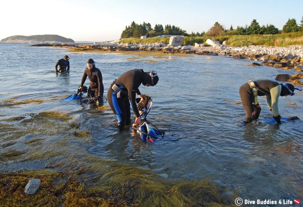 Scuba Diving Locally | Dive Buddies 4 Life