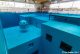 Scuba Diving the Nemo 33 | Dive Buddies 4 Life