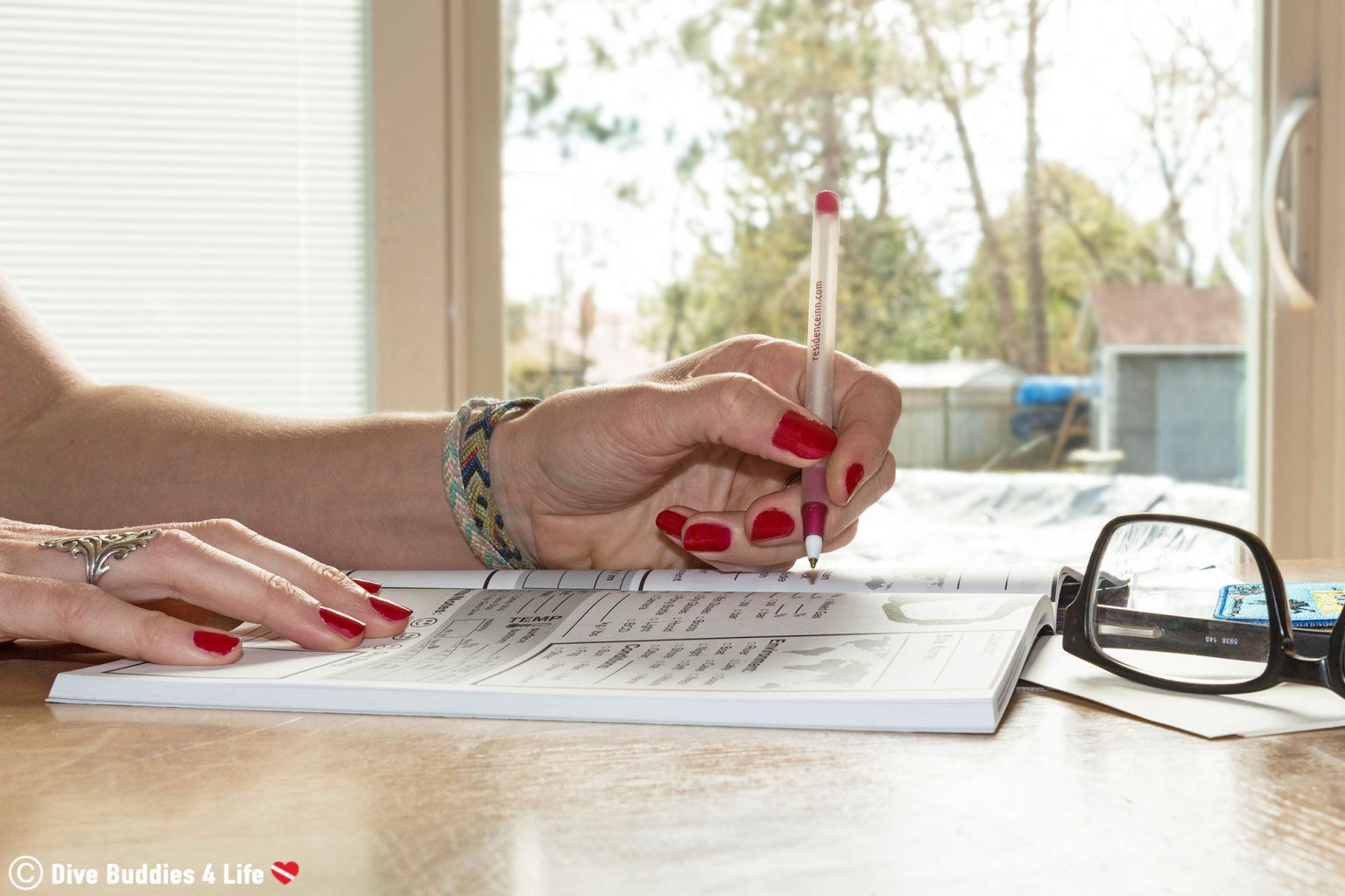 Why you Should Have a Dive Log | Dive Buddies 4 Life