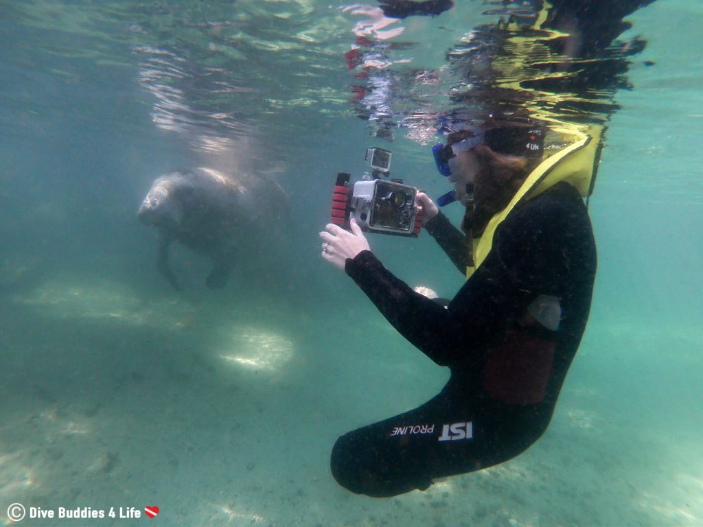 A Guide to Beginner Underwater Photography | Dive Buddies 4 Life