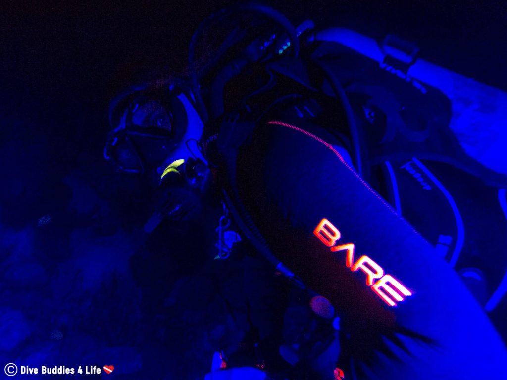 A Psychedelic Overview of Fluorescent Diving | Dive Buddies 4 Life