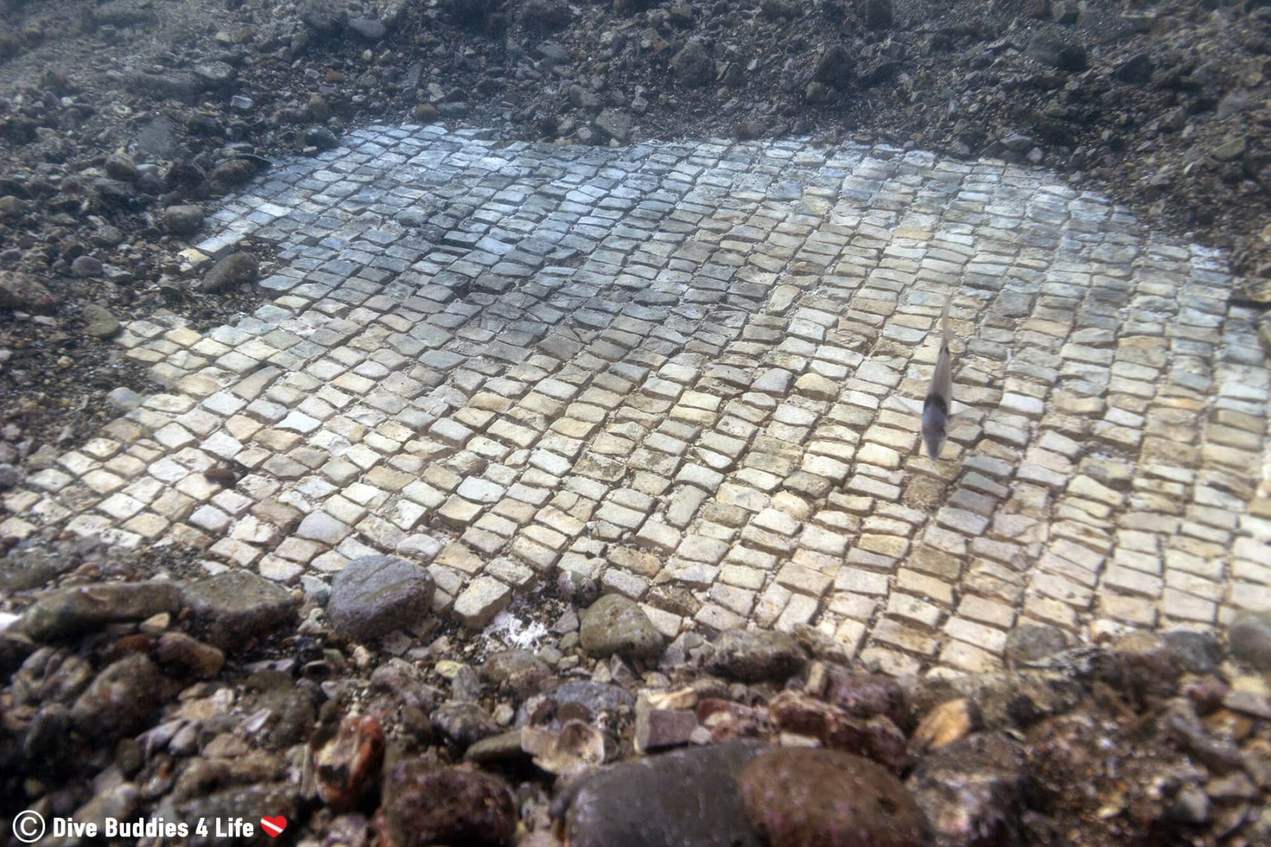 Baiae, Italy's Version of Atlantis | Dive Buddies 4 Life