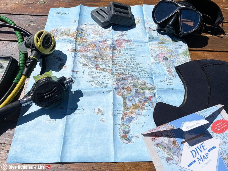 Where in the World do You Want to Dive? | Dive Buddies 4 Life