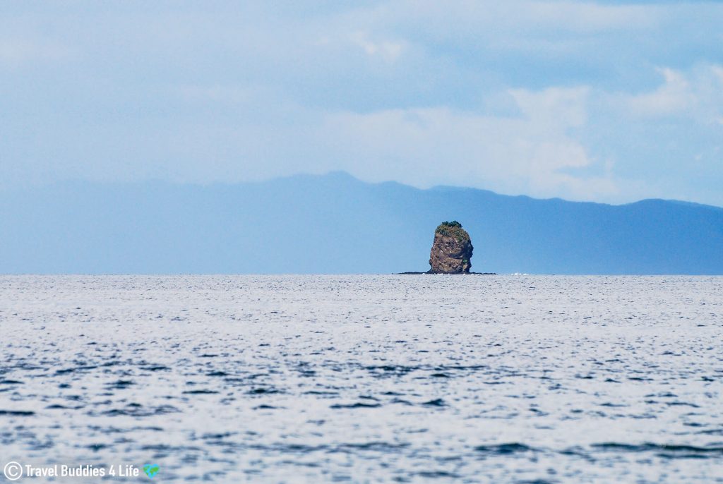 Diving Bat Islands Costa Rica | Dive Buddies 4 Life