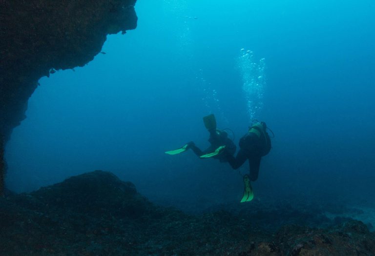 The Azores Islands from Underwater | Dive Buddies 4 Life