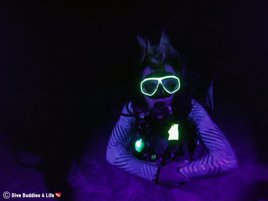 A Psychedelic Overview of Fluorescent Diving | Dive Buddies 4 Life