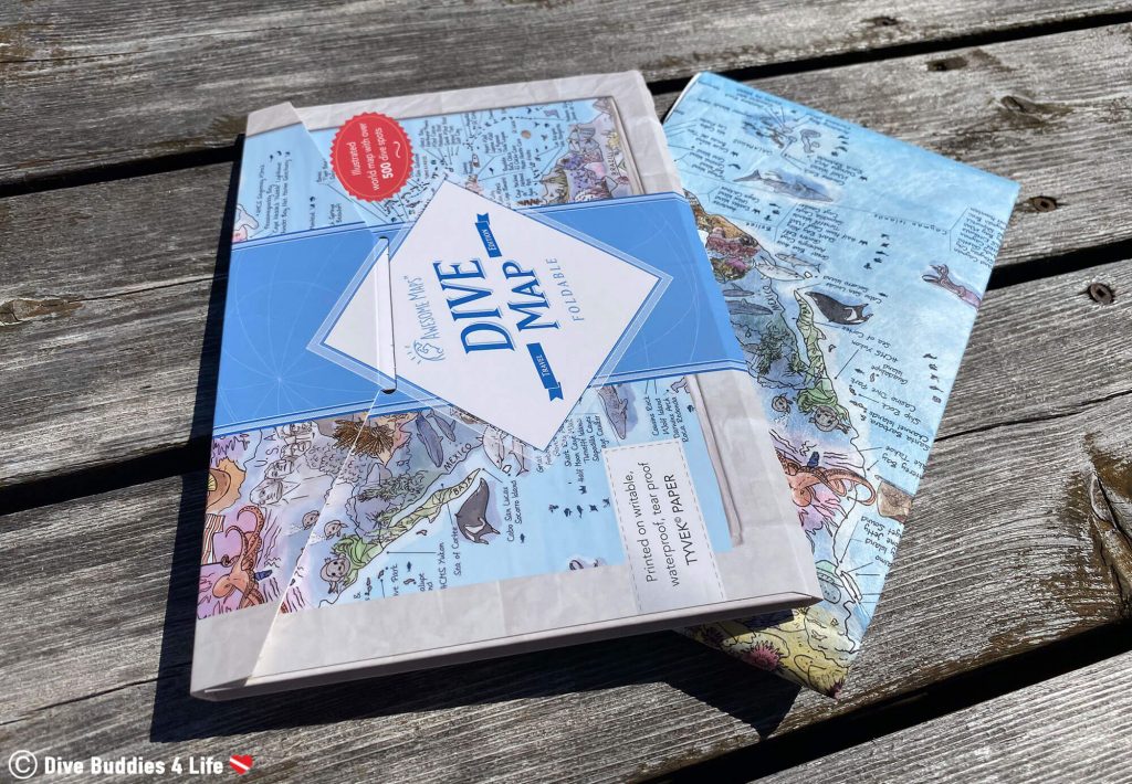 Where in the World do You Want to Dive? | Dive Buddies 4 Life