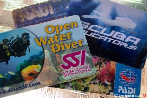A Look at PADI, SEI, NAUI and SSI | Dive Buddies 4 Life