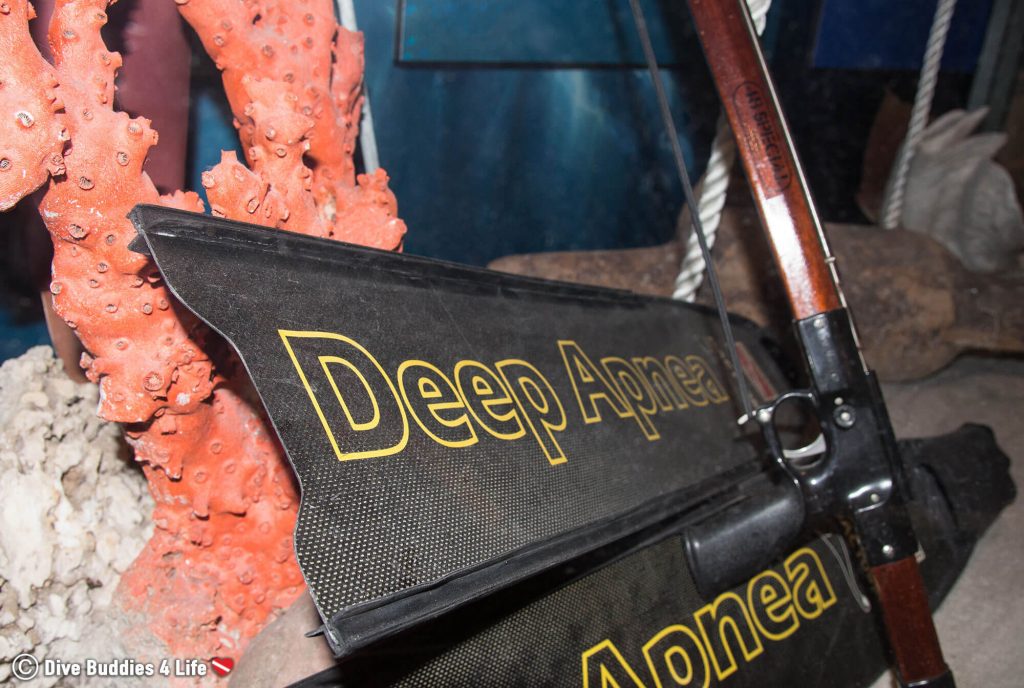 Visiting the History of Diving Museum | Dive Buddies 4 Life