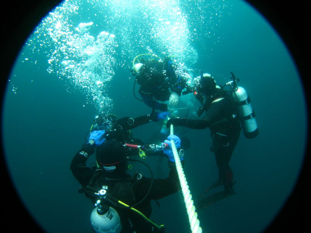 Becoming a Divemaster: From Passion to Pro | Dive Buddies 4 Life