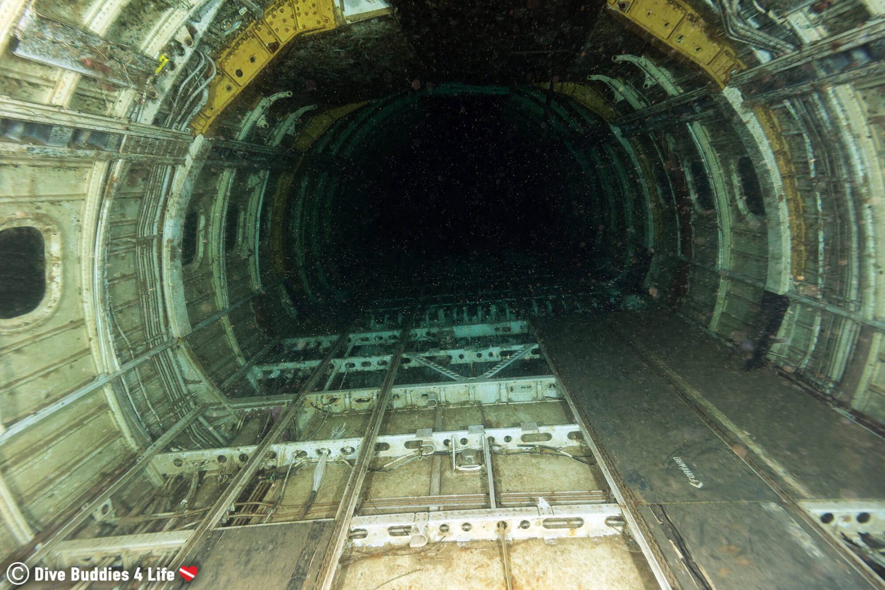 Quarry Diving in Chepstow | Dive Buddies 4 Life