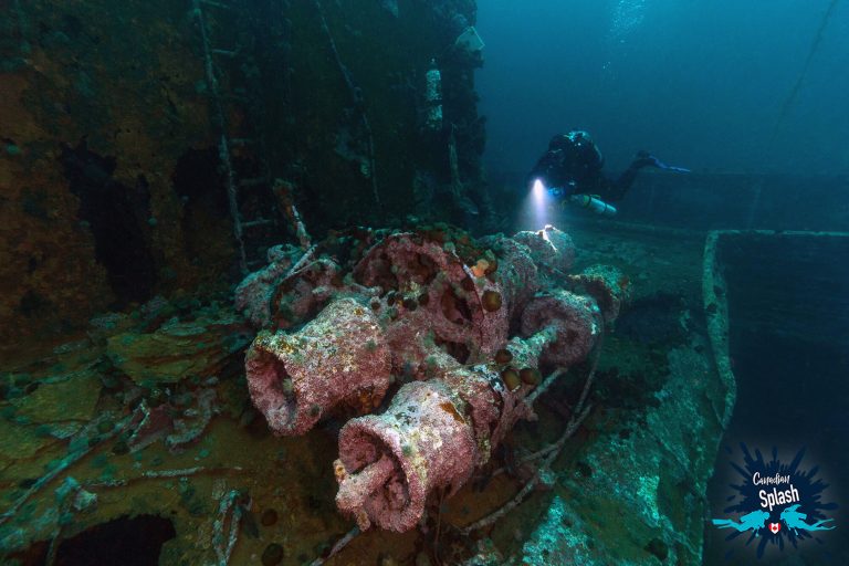 All About the PADI Wreck Diver Course | Dive Buddies 4 Life