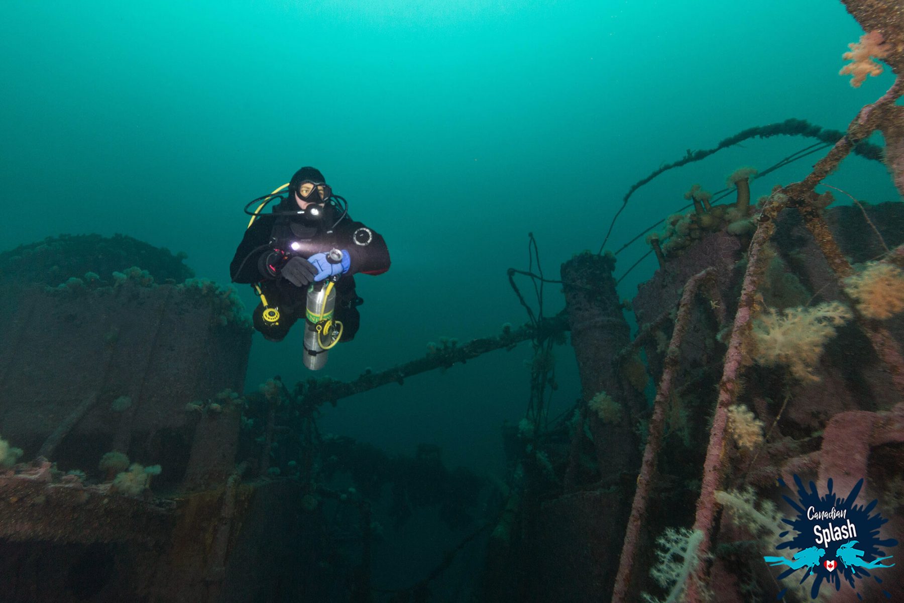 All About the PADI Wreck Diver Course | Dive Buddies 4 Life