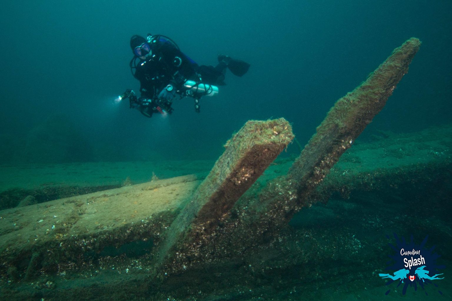 Canadian Splash: Scuba Diving in Tobermory | Dive Buddies 4 Life