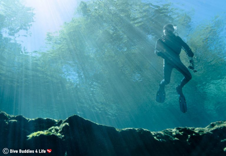 Diving into Ginnie and Devils Spring | Dive Buddies 4 Life