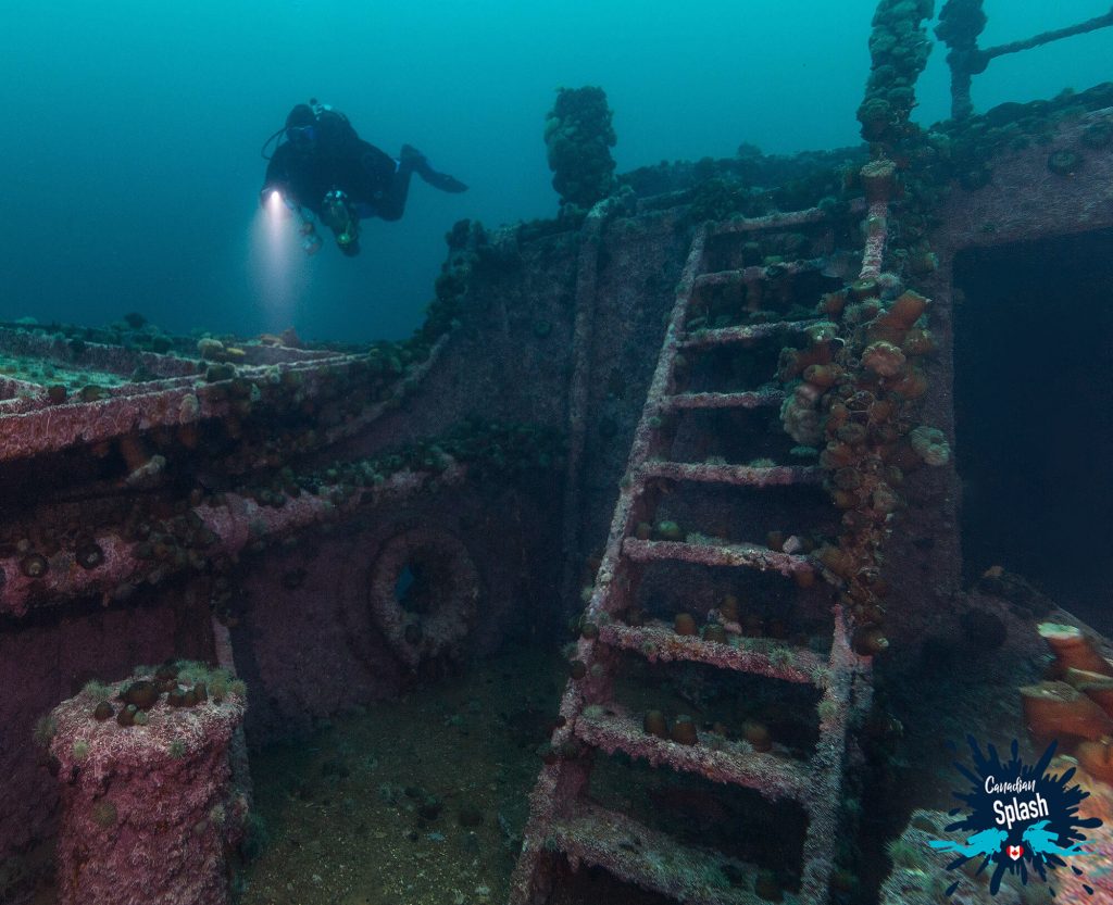 All About the PADI Wreck Diver Course | Dive Buddies 4 Life