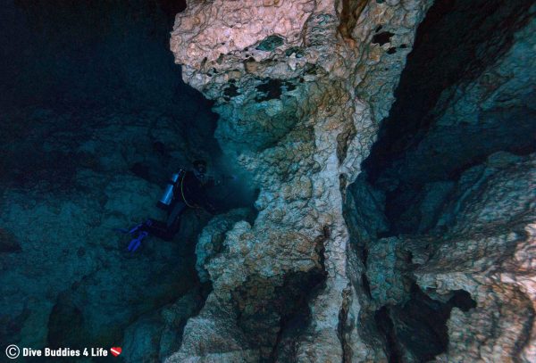 Diving into the Den of the Devil | Dive Buddies 4 Life