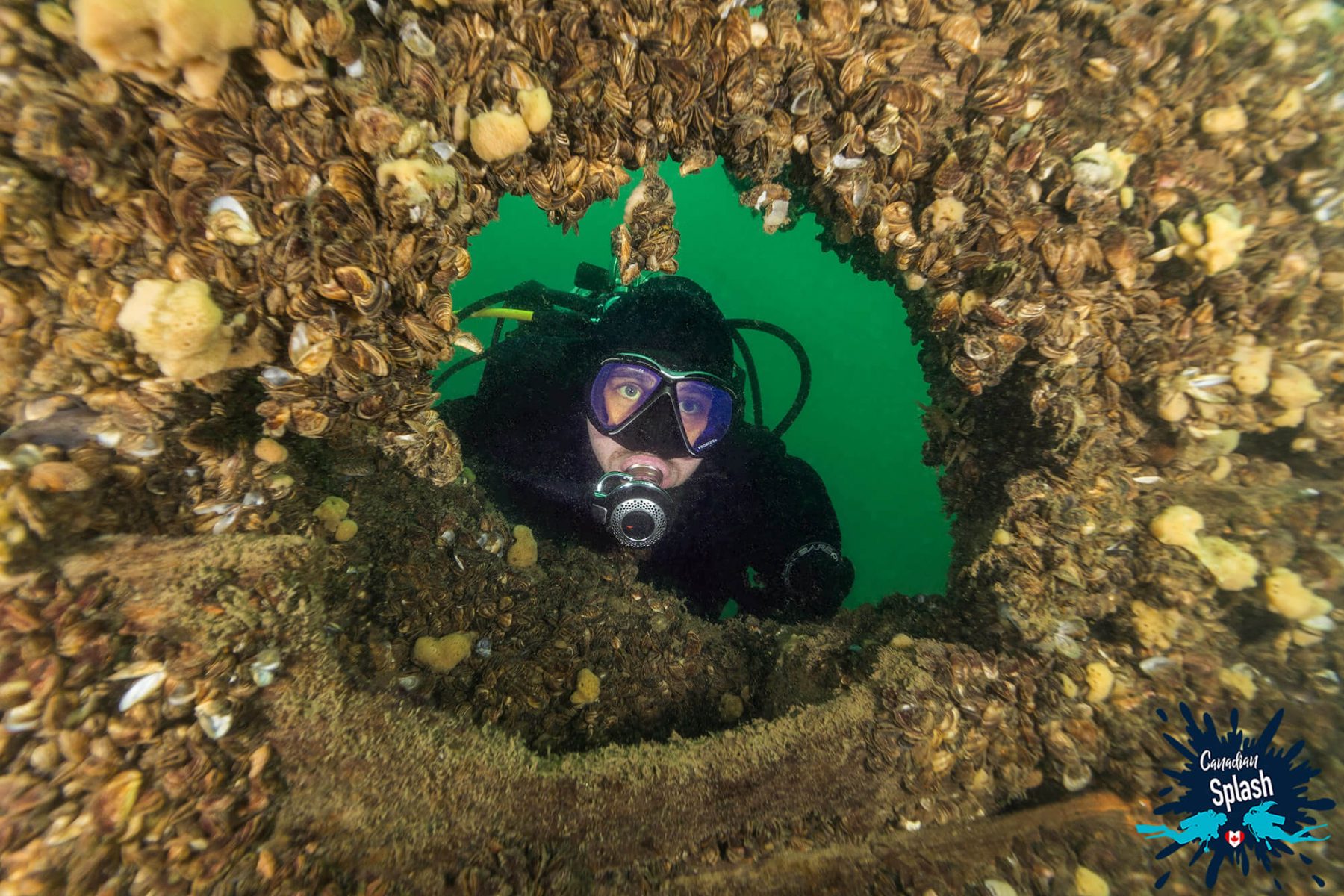 All About the PADI Wreck Diver Course | Dive Buddies 4 Life