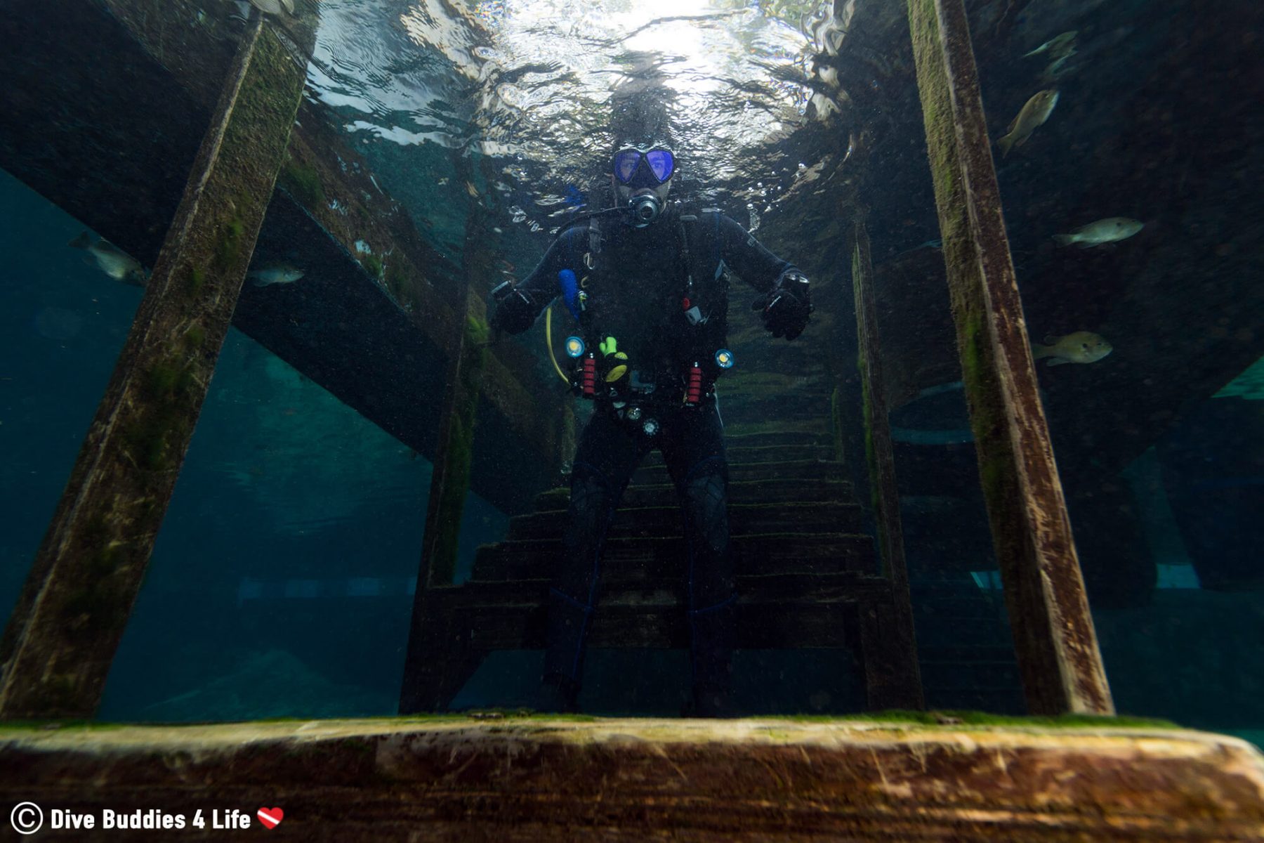 Diving Florida's Blue Grotto Cavern | Dive Buddies 4 Life