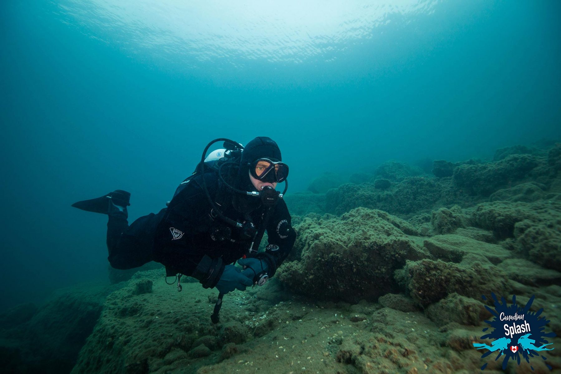 Canadian Splash: Scuba Diving in Tobermory | Dive Buddies 4 Life