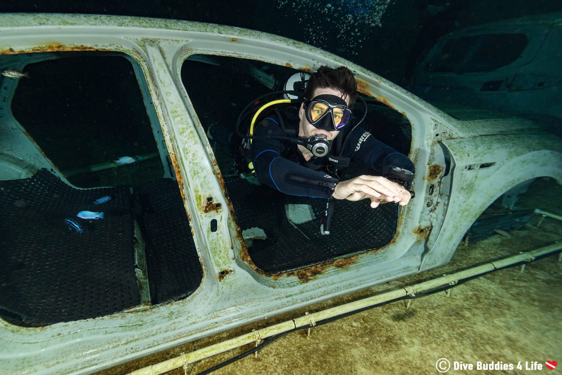 Diving the TODI Freshwater Aquarium | Dive Buddies 4 Life