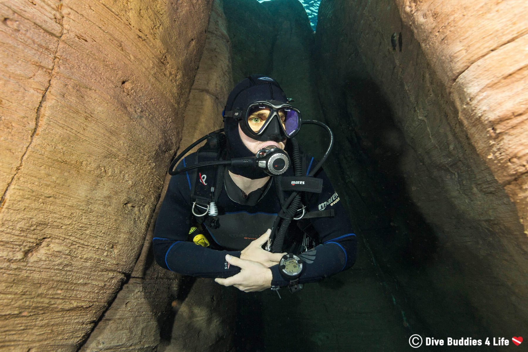 Diving the TODI Freshwater Aquarium | Dive Buddies 4 Life