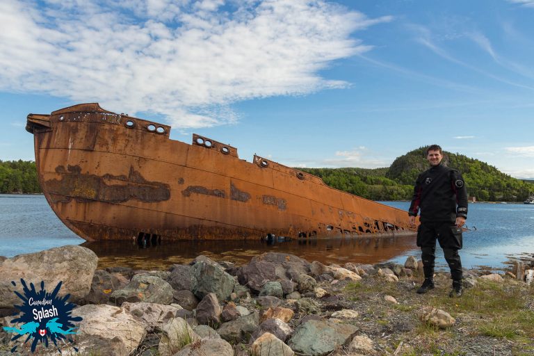 Canadian Splash: Shore Diving Conception Bay | Dive Buddies 4 Life