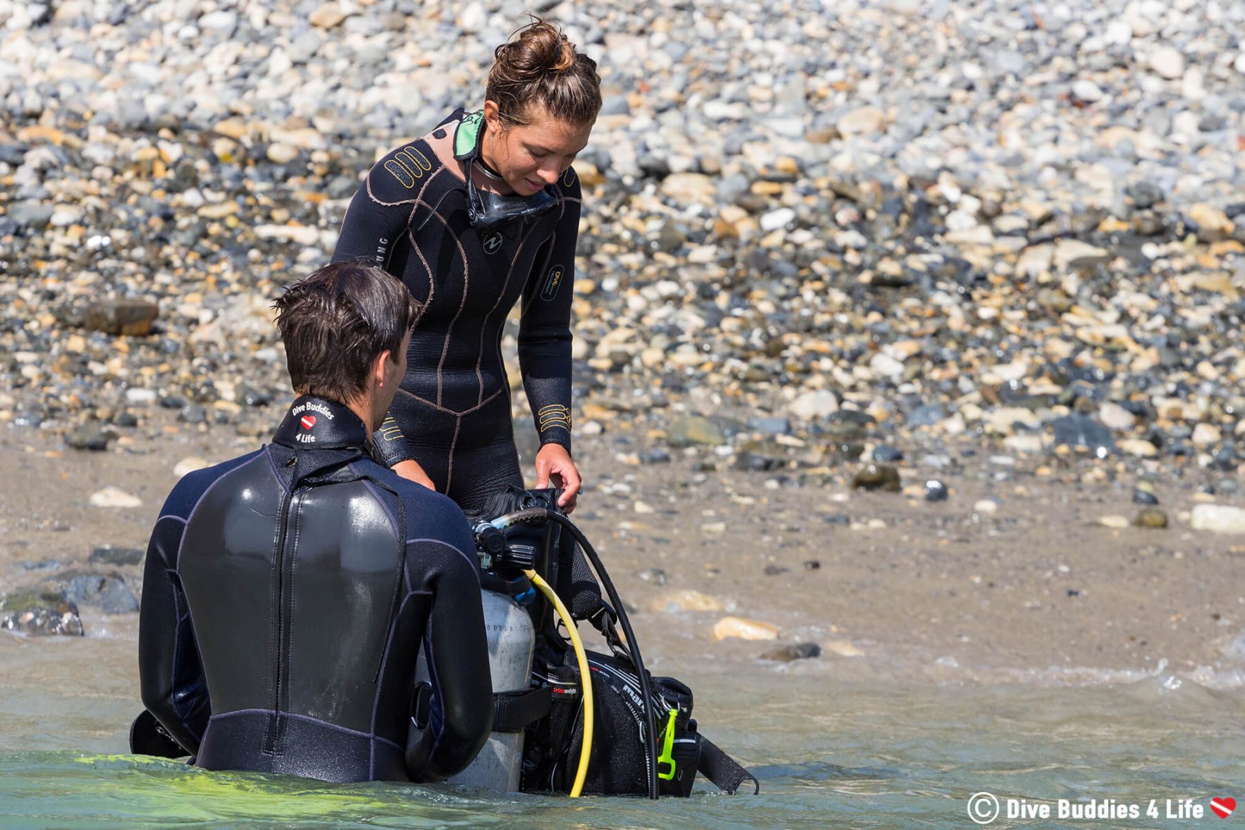 A Look at PADI, SEI, NAUI and SSI | Dive Buddies 4 Life