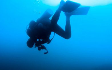 Diving Bat Islands Costa Rica | Dive Buddies for Life