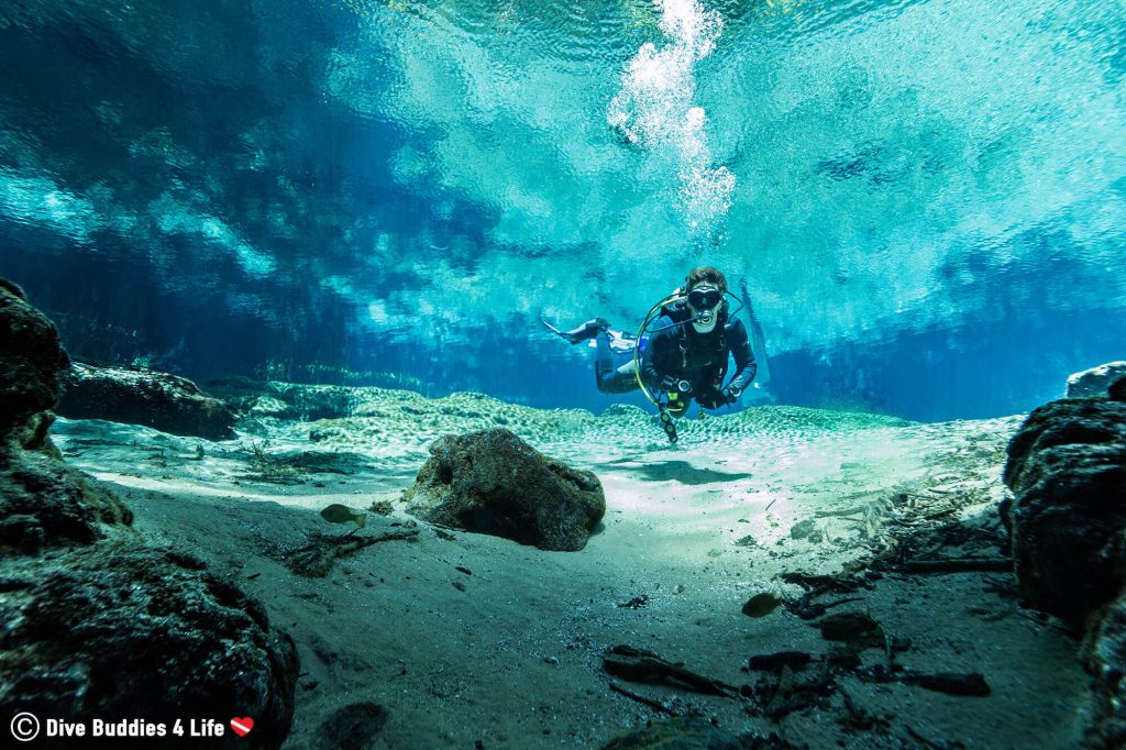 Diving into Ginnie and Devils Spring | Dive Buddies 4 Life