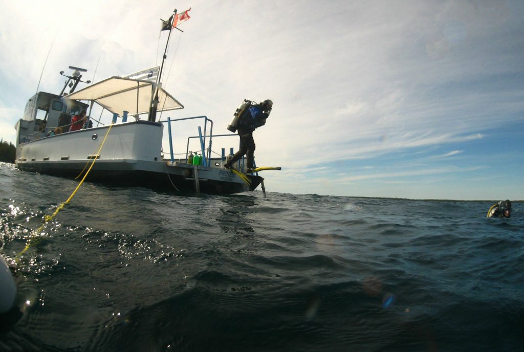 Becoming a Divemaster: From Passion to Pro | Dive Buddies 4 Life