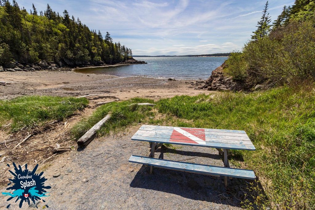 Canadian Splash: The Murky Water of Saint John | Dive Buddies 4 Life