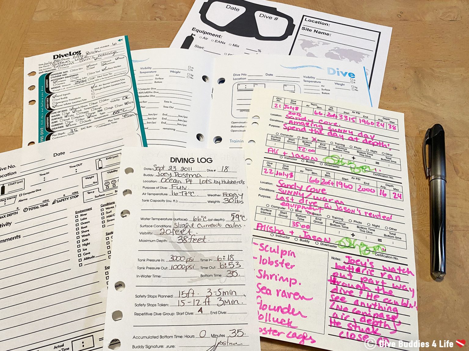 Why you Should Have a Dive Log | Dive Buddies 4 Life
