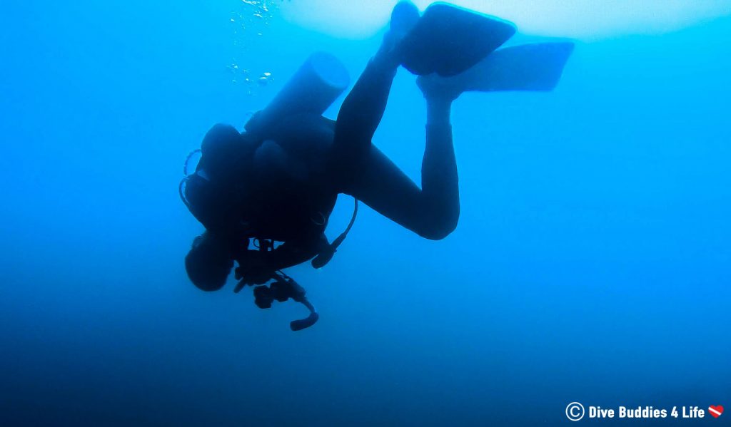 Diving Bat Islands Costa Rica | Dive Buddies 4 Life