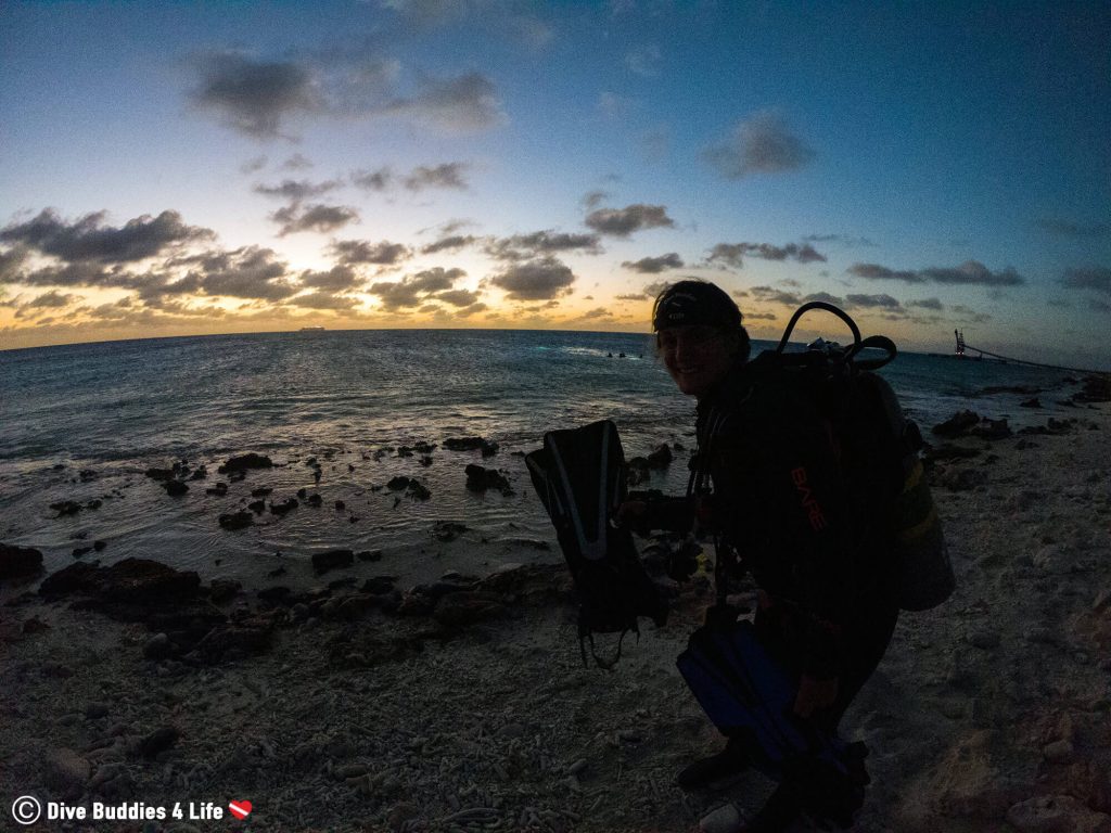 Night Diving: Are you Afraid of the Dark? | Dive Buddies 4 Life