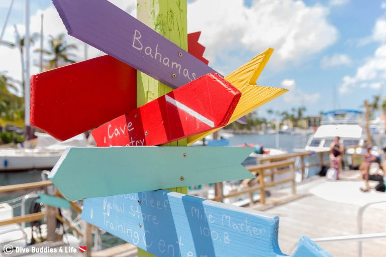 Scuba Diving Key Largo Florida | Dive Buddies 4 Life