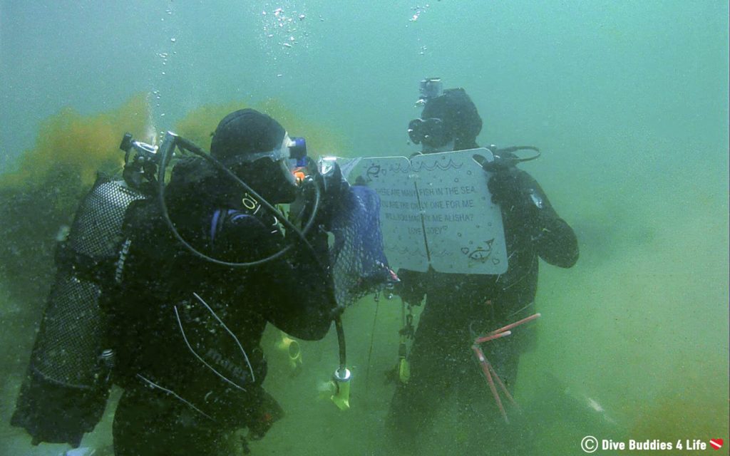 A Scuba Diver’s Dream Wedding | Dive Buddies 4 Life