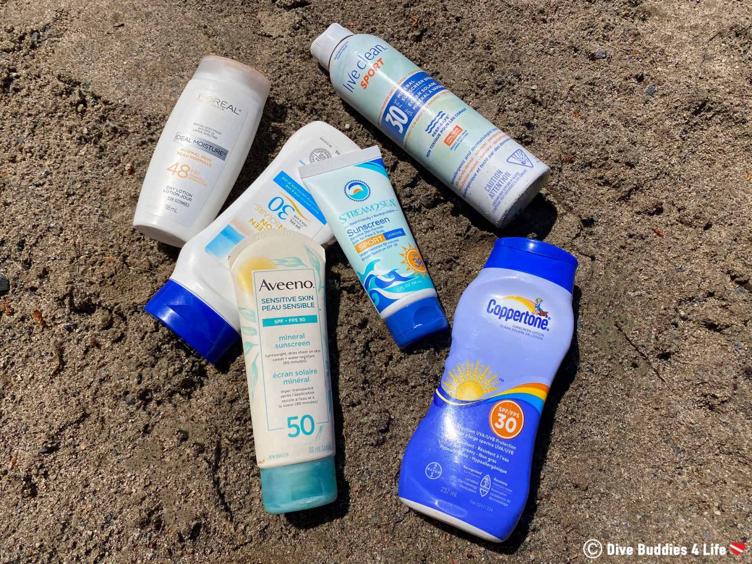 Why you Should be Using Reef-Safe Sunscreen | Dive Buddies 4 Life