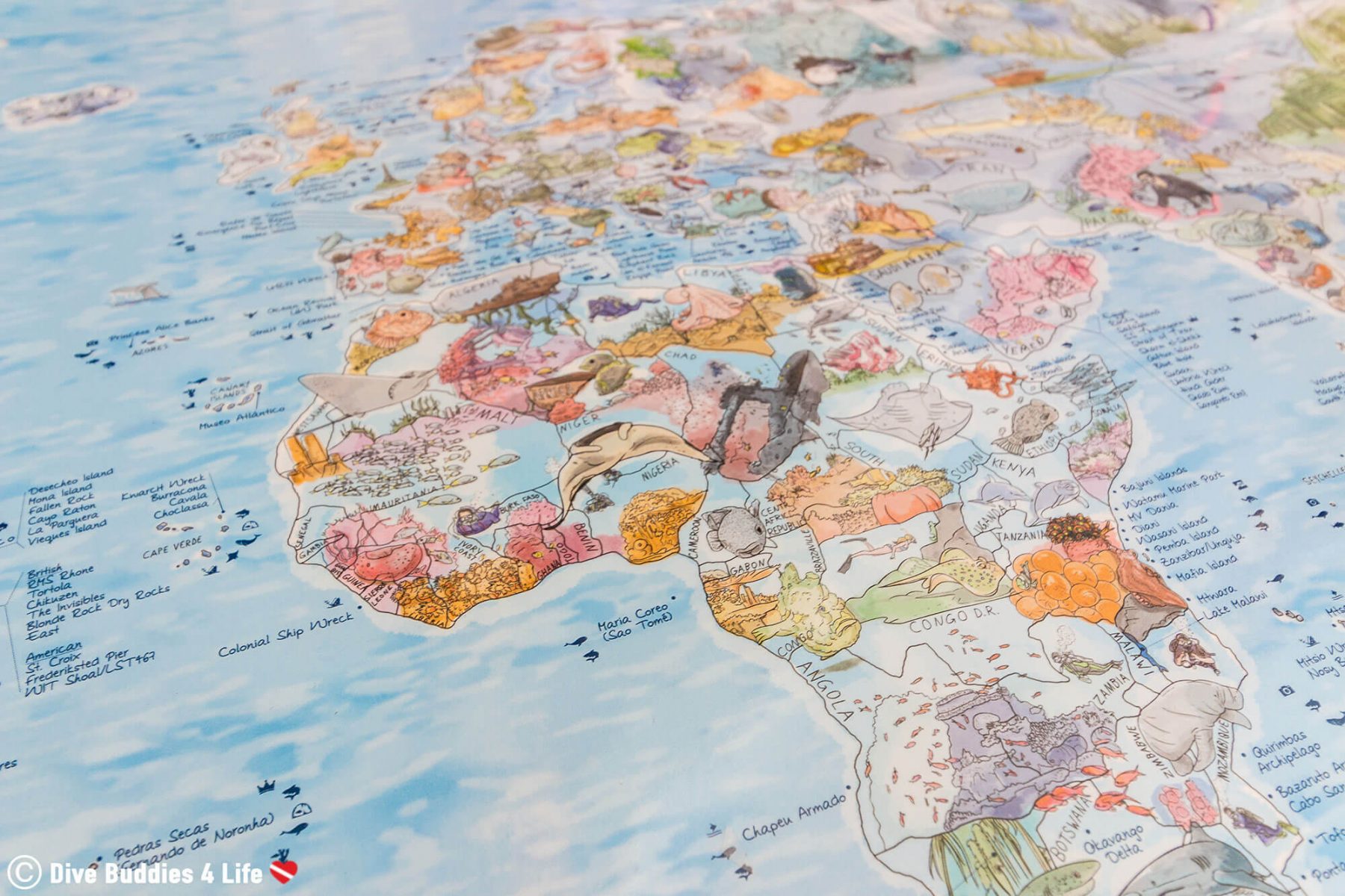 Where in the World do You Want to Dive? | Dive Buddies 4 Life