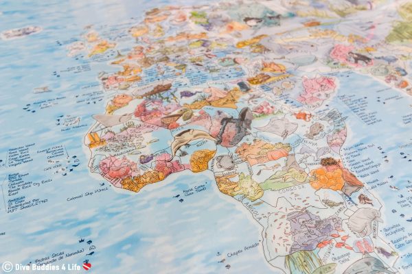 Where in the World do You Want to Dive? | Dive Buddies 4 Life