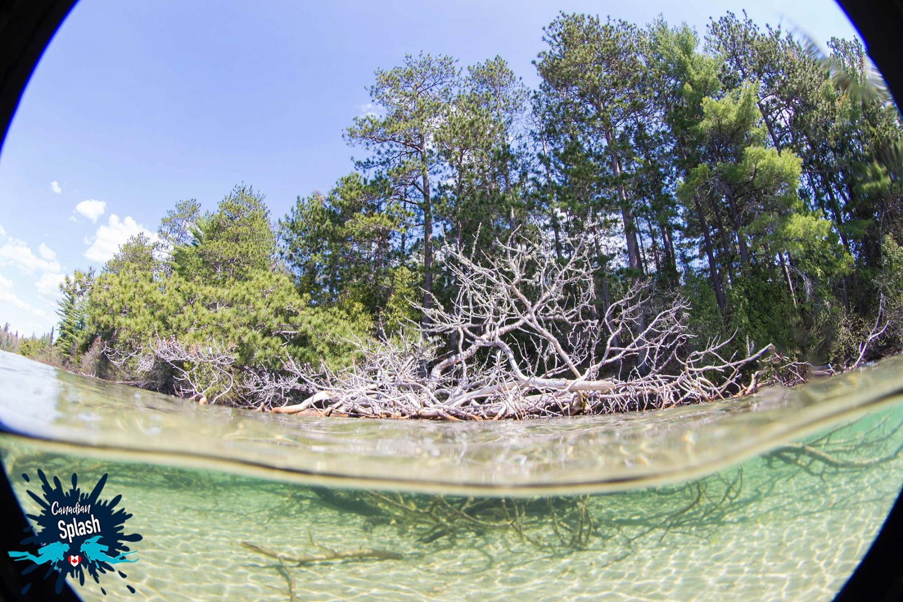 A Guide to Split-Shot Photography | Dive Buddies 4 Life