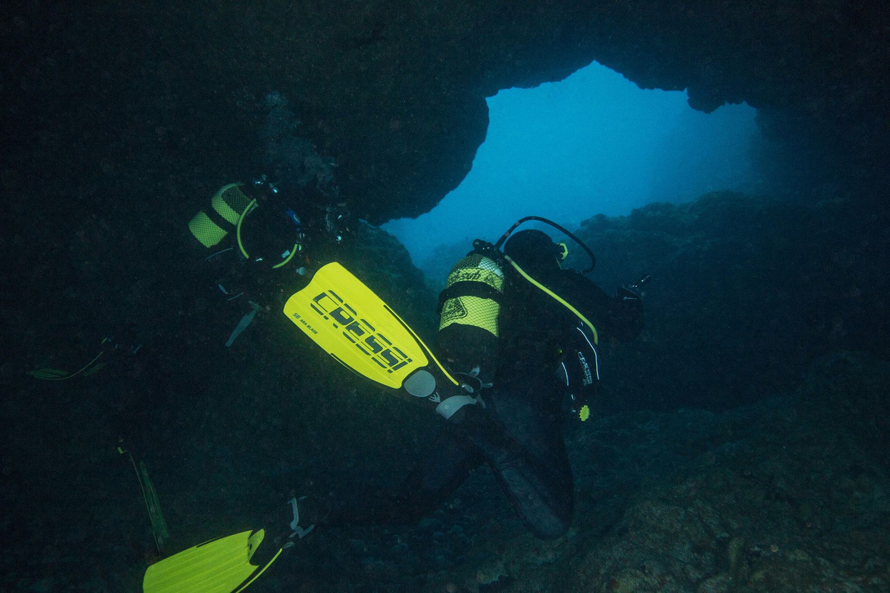 The Azores Islands from Underwater | Dive Buddies 4 Life