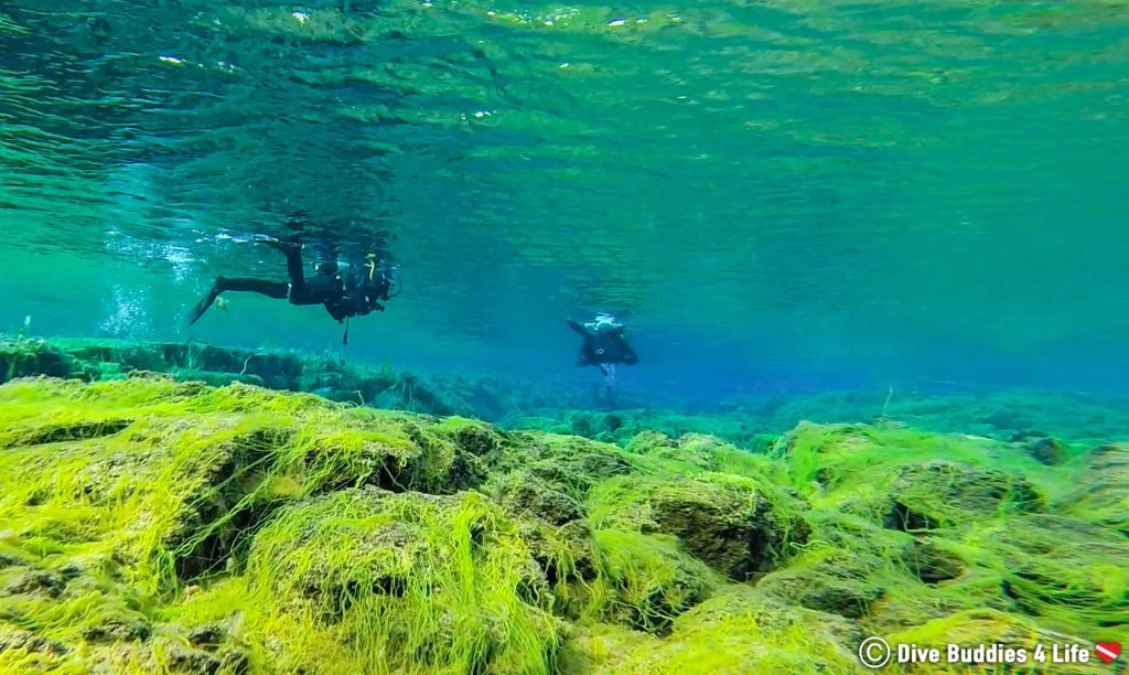 Scuba Diving the Silfra in Iceland
