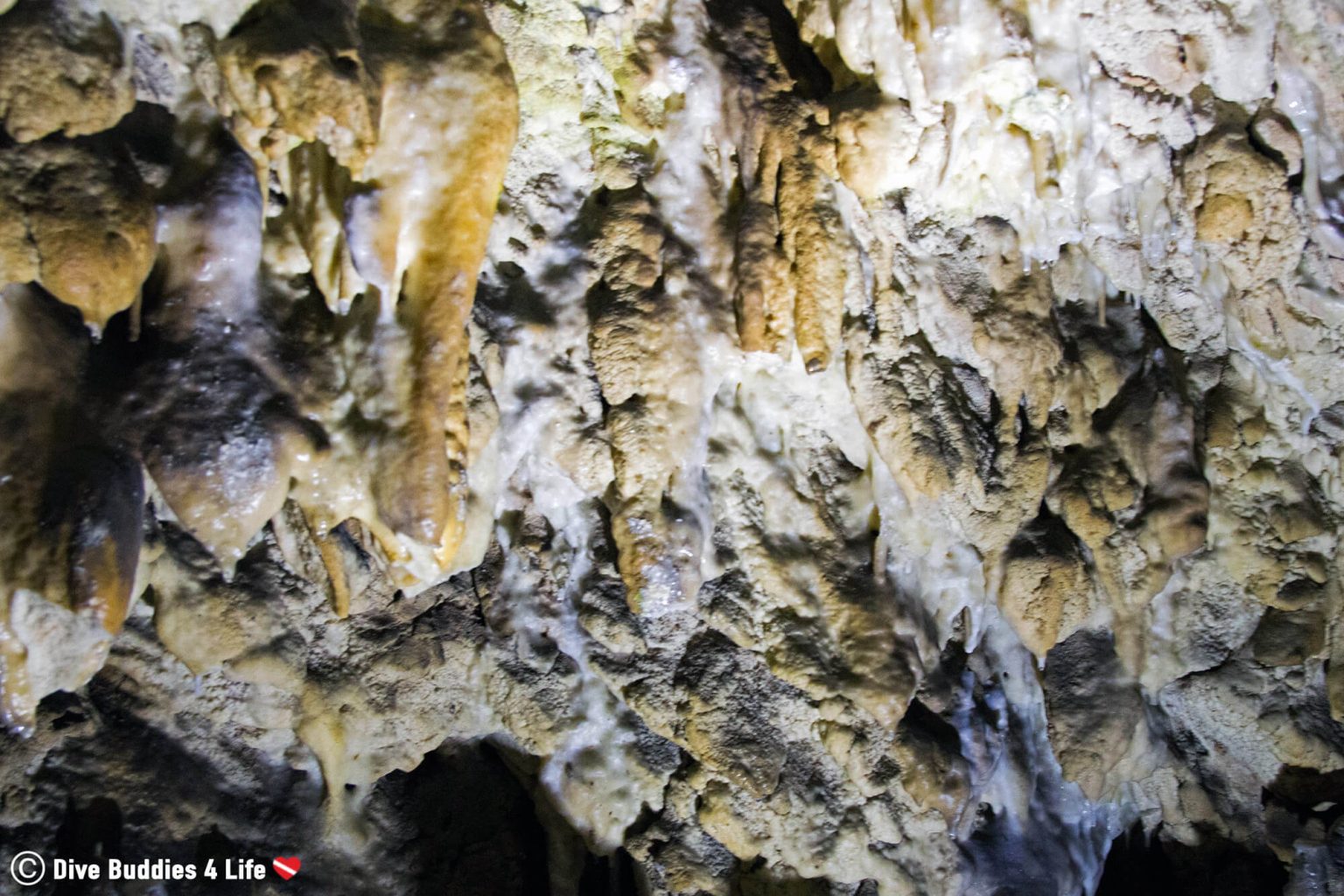 Scuba Diving Italy's Amalfi Coast | Dive Buddies 4 Life