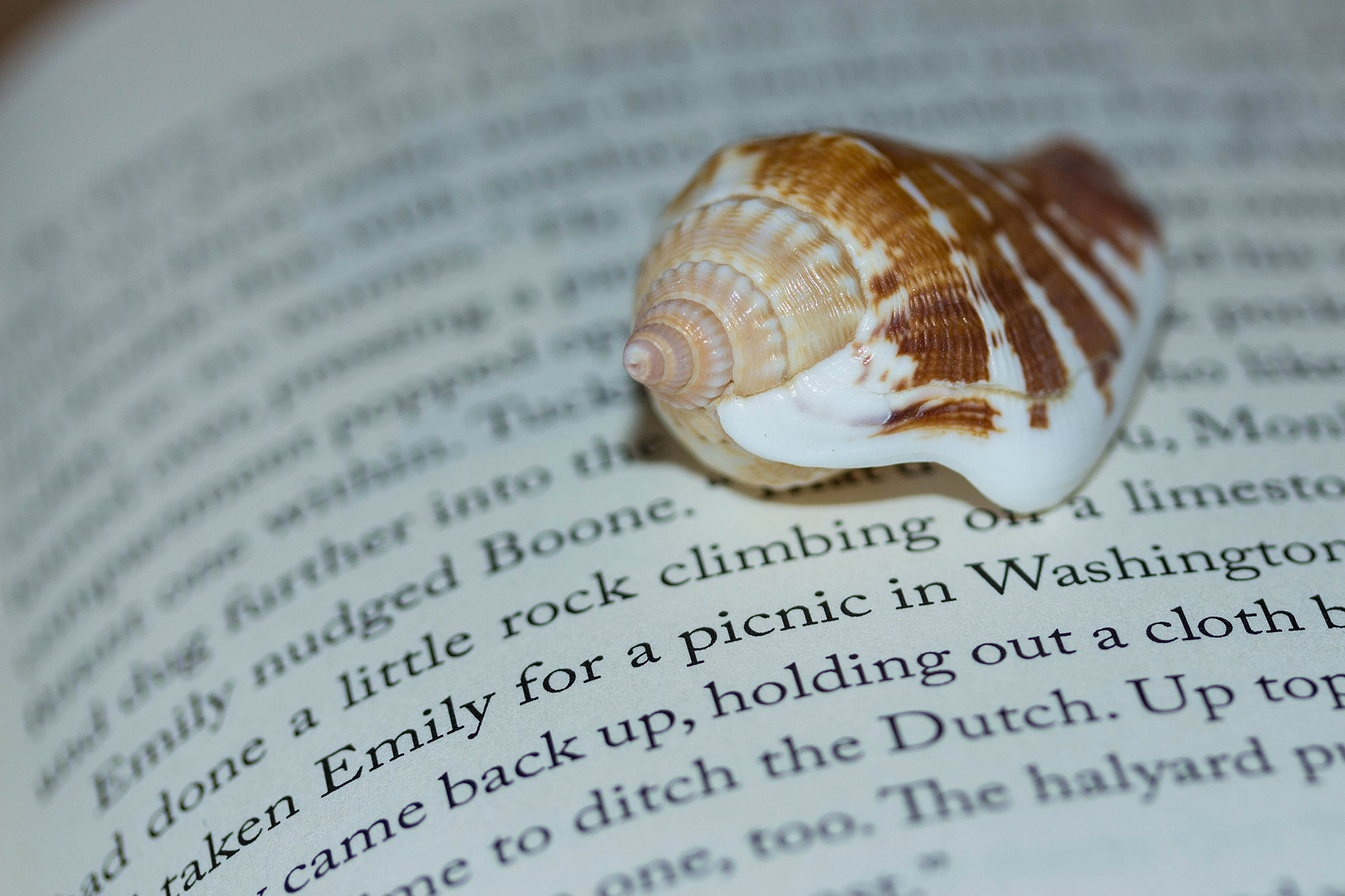 The Deep Scuba Novel Series: Deep Shadow | Dive Buddies 4 Life