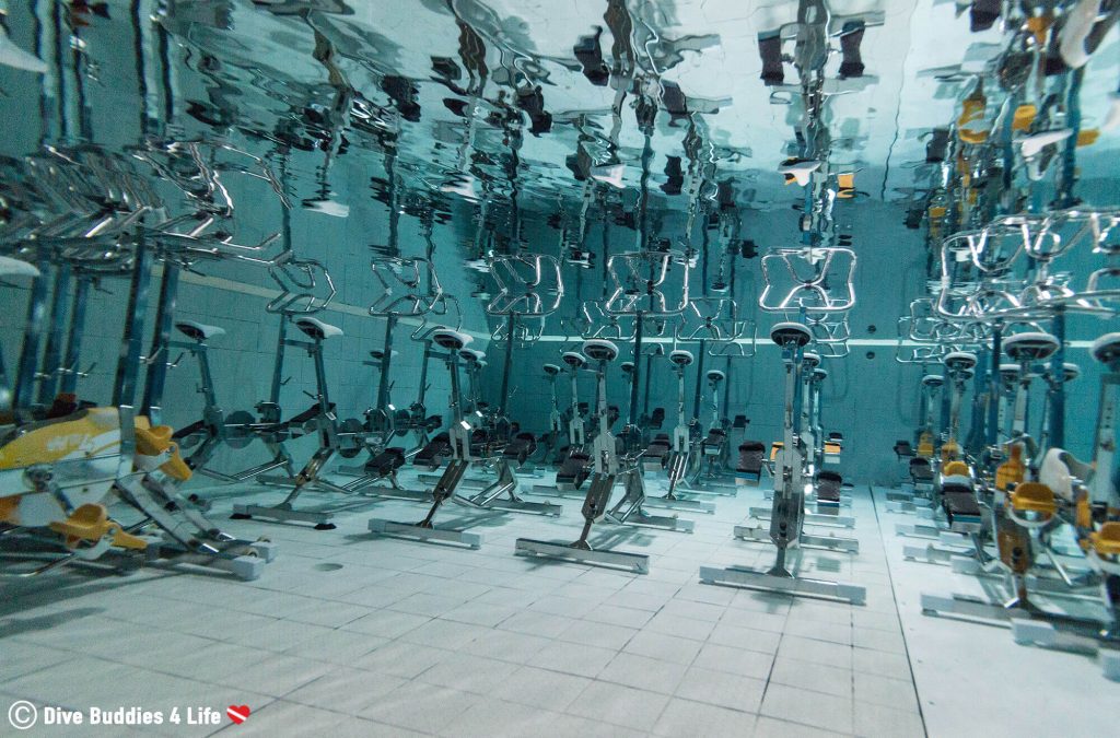 Scuba Diving the Nemo 33 | Dive Buddies 4 Life