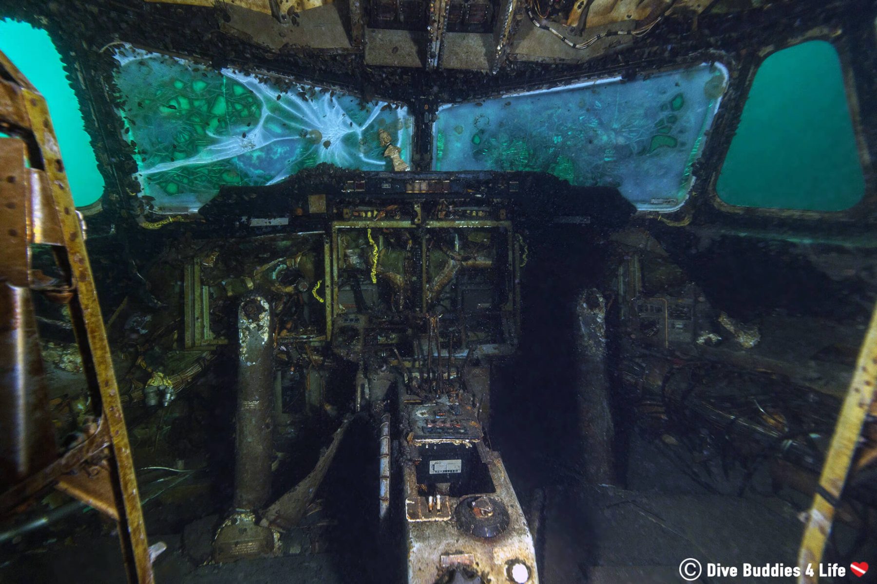 All About the PADI Wreck Diver Course | Dive Buddies 4 Life