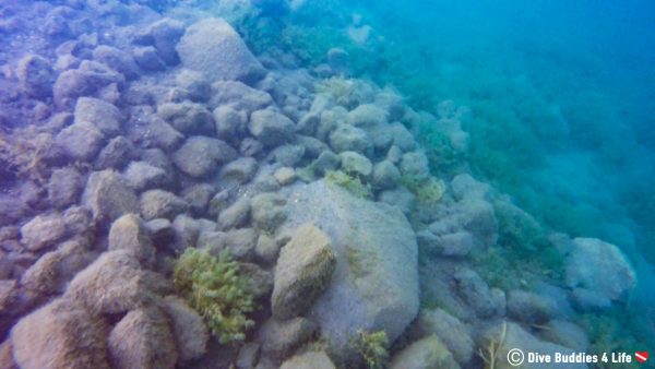 Diving the Laguna Apoyo | Dive Buddies 4 Life