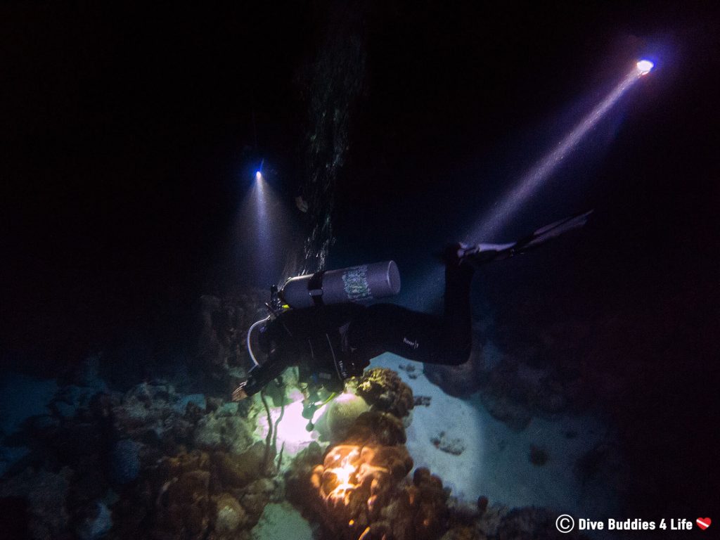 Night Diving: Are you Afraid of the Dark? | Dive Buddies 4 Life